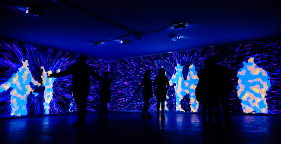 Life Zone - interactive audio visual art exhibition case study - Optoma ...